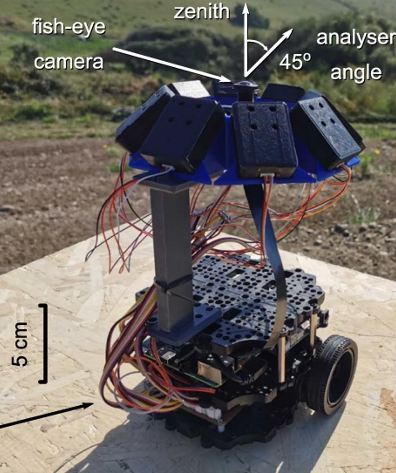 Натхненний комашиним зором компас вкаже роботам шлях за сонячним світлом. Читайте на UKR.NET